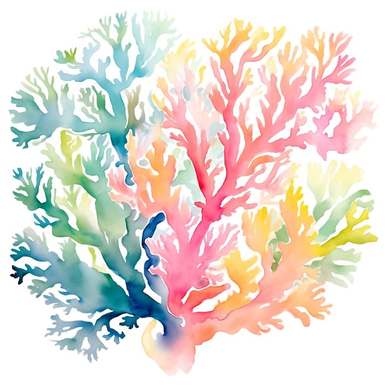 16 Watercolor Preppy Sea Creatures Clipart Graphics Printable PNG Files ...