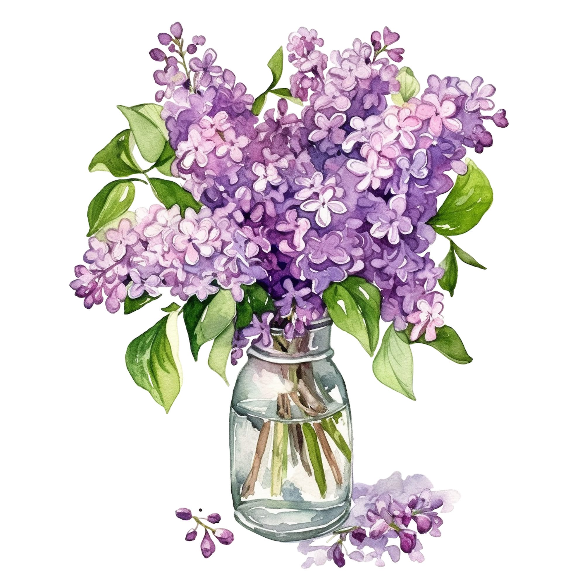 8 Watercolor Lilacs Floral Clipart Digital Download PNG Files for ...