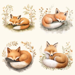 4 Cute Sleeping Fox Clipart Watercolor Graphics PNG Files for ...
