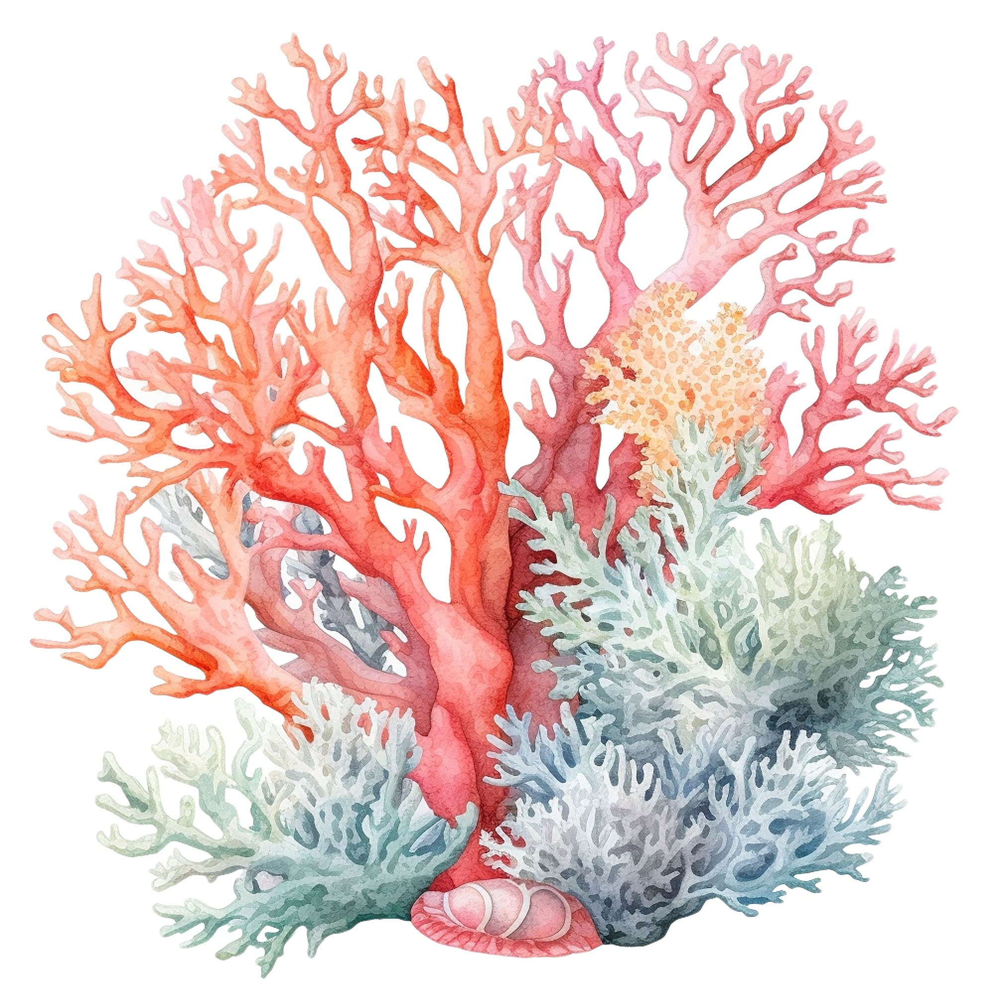 10 Watercolor Sea Coral Clipart Digital Download PNG Files for ...
