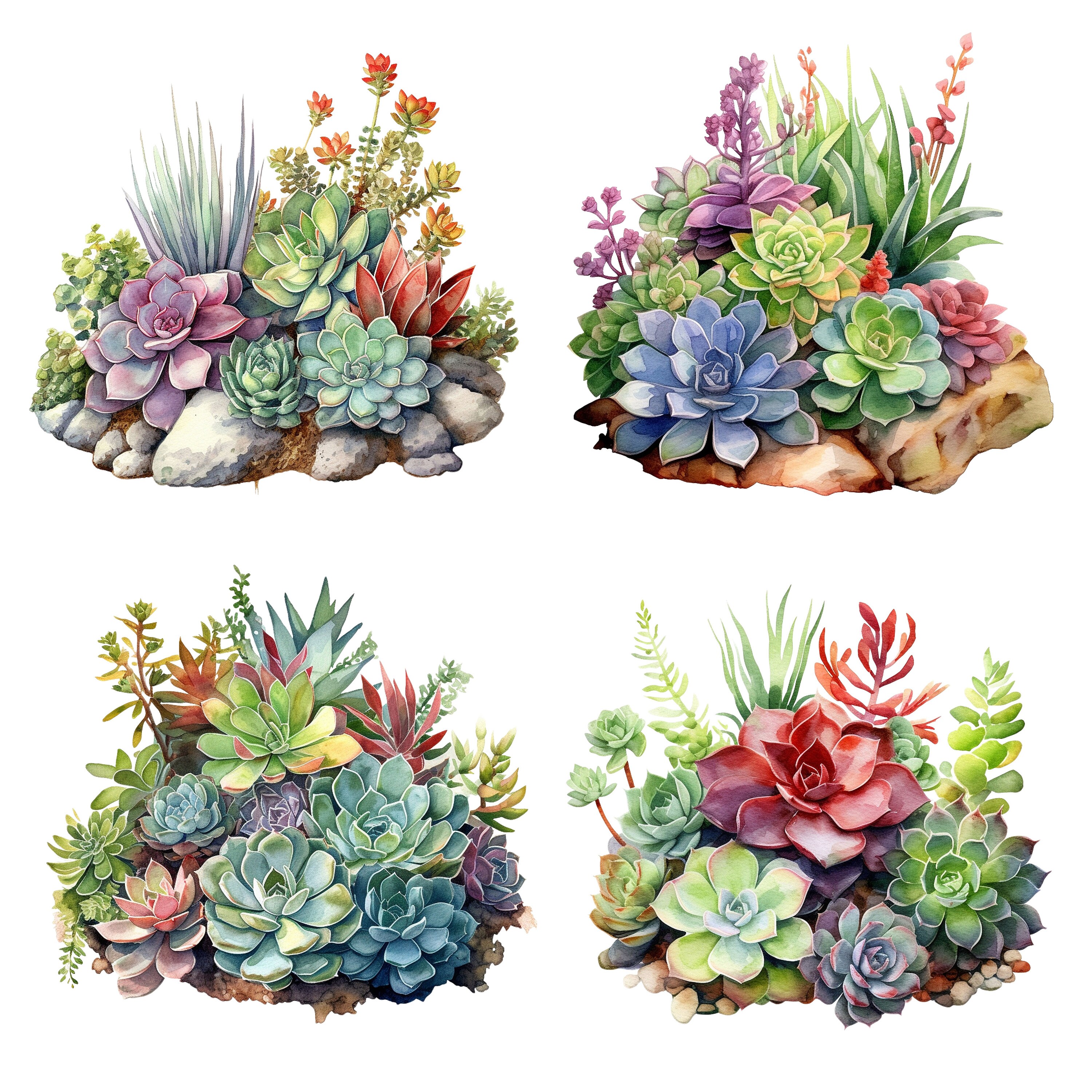 15 Watercolor Succulent Garden Clipart Botanical Graphics - Etsy