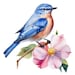 10 Watercolor Cute Bluebird Clipart - Bird Graphics Digital Download ...