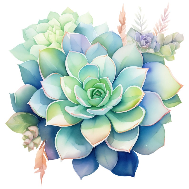 16 Watercolor Succulents Clipart Botanical Graphics - Digital Download ...