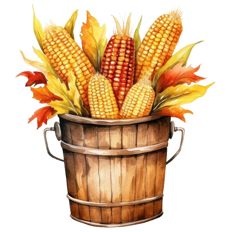 15 Watercolor Autumn Theme Clipart Graphics Digital PNG Files for ...