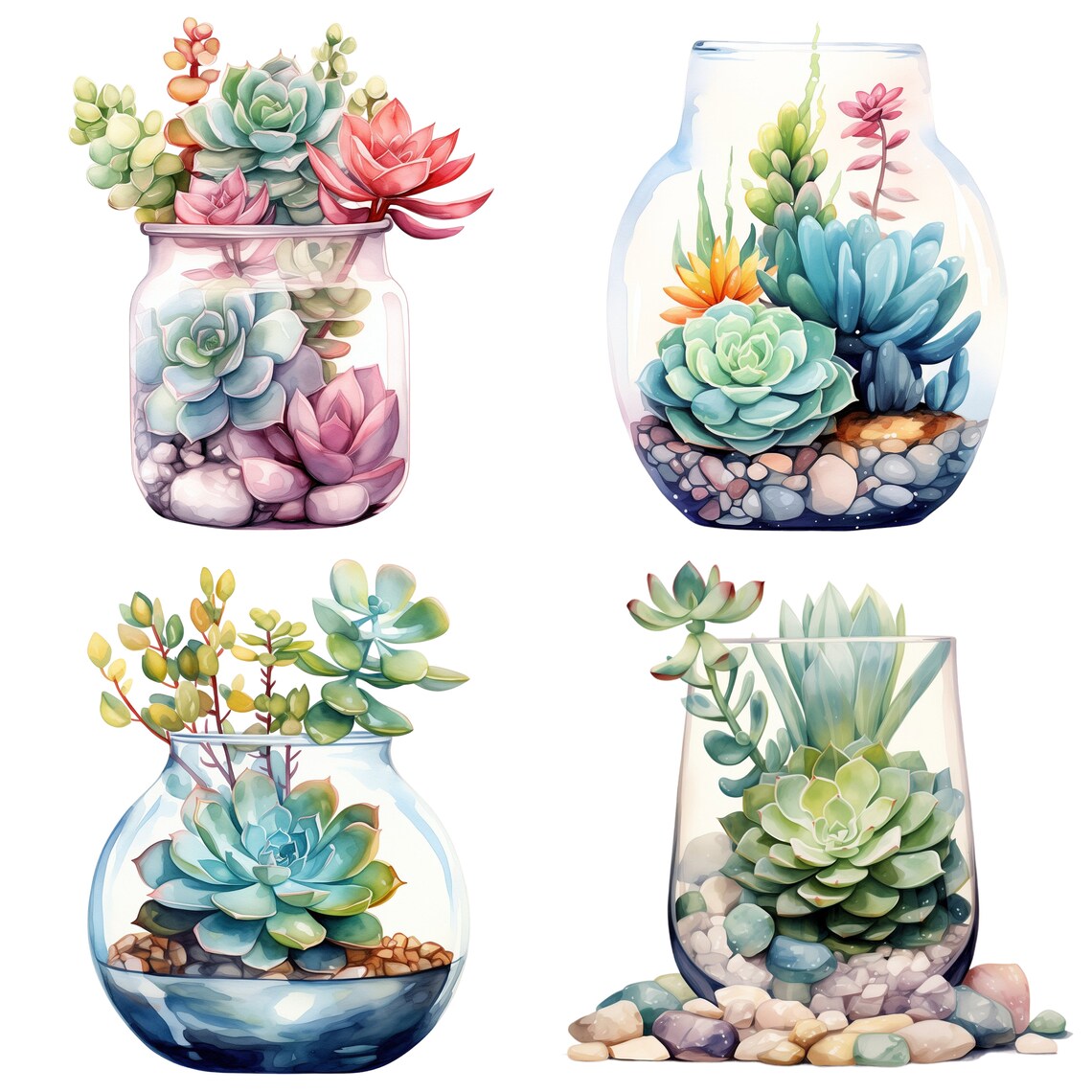 16 Succulents in Glass Vase Watercolor Clipart Botanical Graphics ...