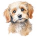10 Cute Dog Portraits Clipart Watercolor Graphics Digital Download Dogs ...