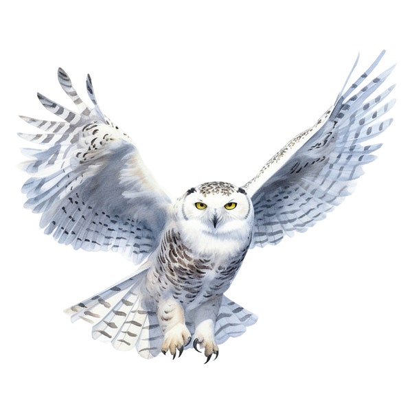 Snowy Owl Clipart - Etsy
