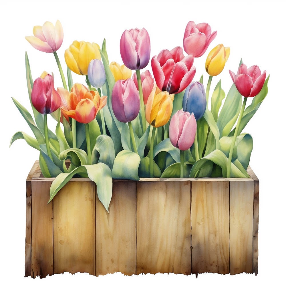 10 Watercolor Tulips Clipart Flower Graphics Digital Download PNG Files ...
