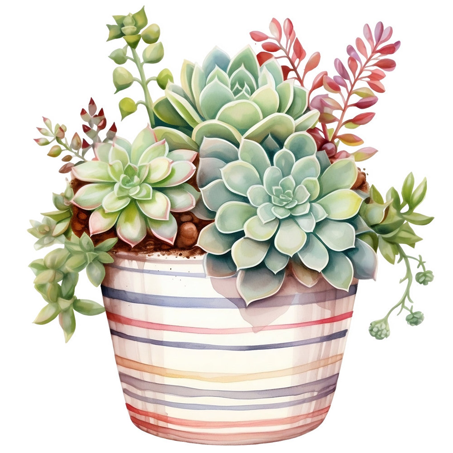 10 Cute Pastel Succulents Watercolor Clipart Graphics - Digital ...