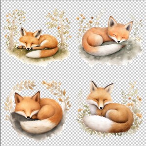 4 Cute Sleeping Fox Clipart Watercolor Graphics PNG Files for ...