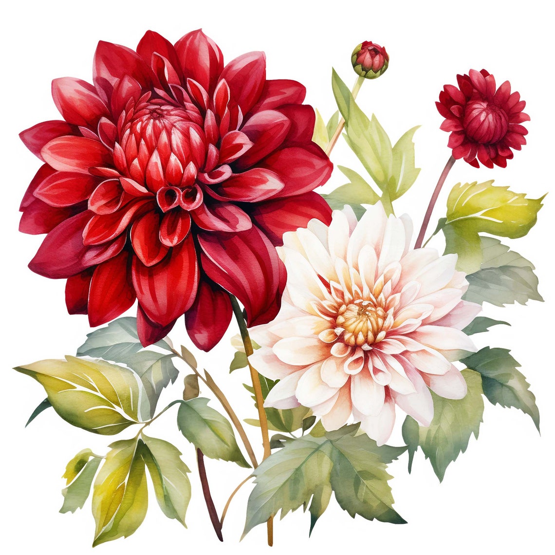 10 Watercolor Dahlia Flowers Clipart Printable Dahlias PNG - Etsy