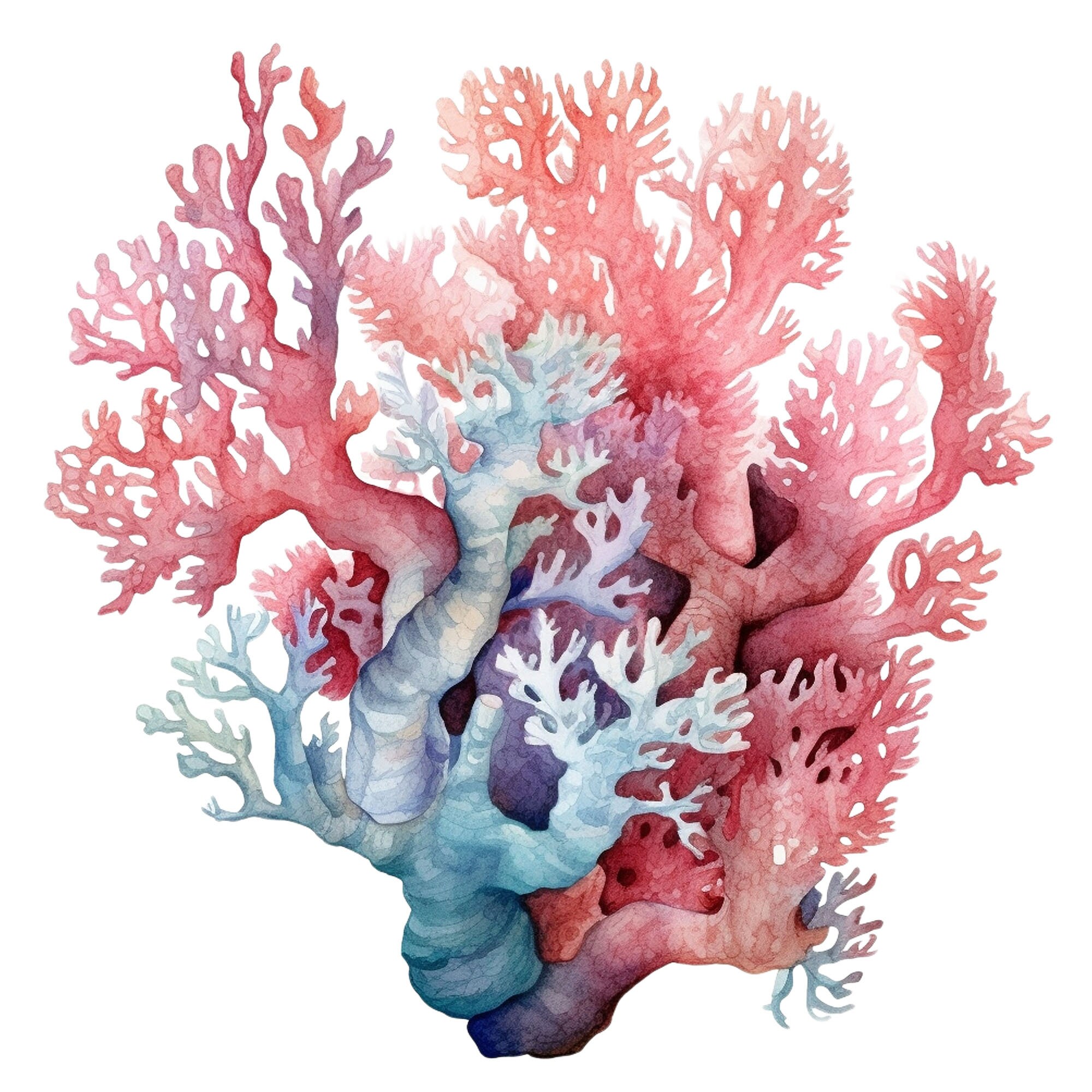 10 Watercolor Sea Coral Clipart Digital Download PNG Files - Etsy