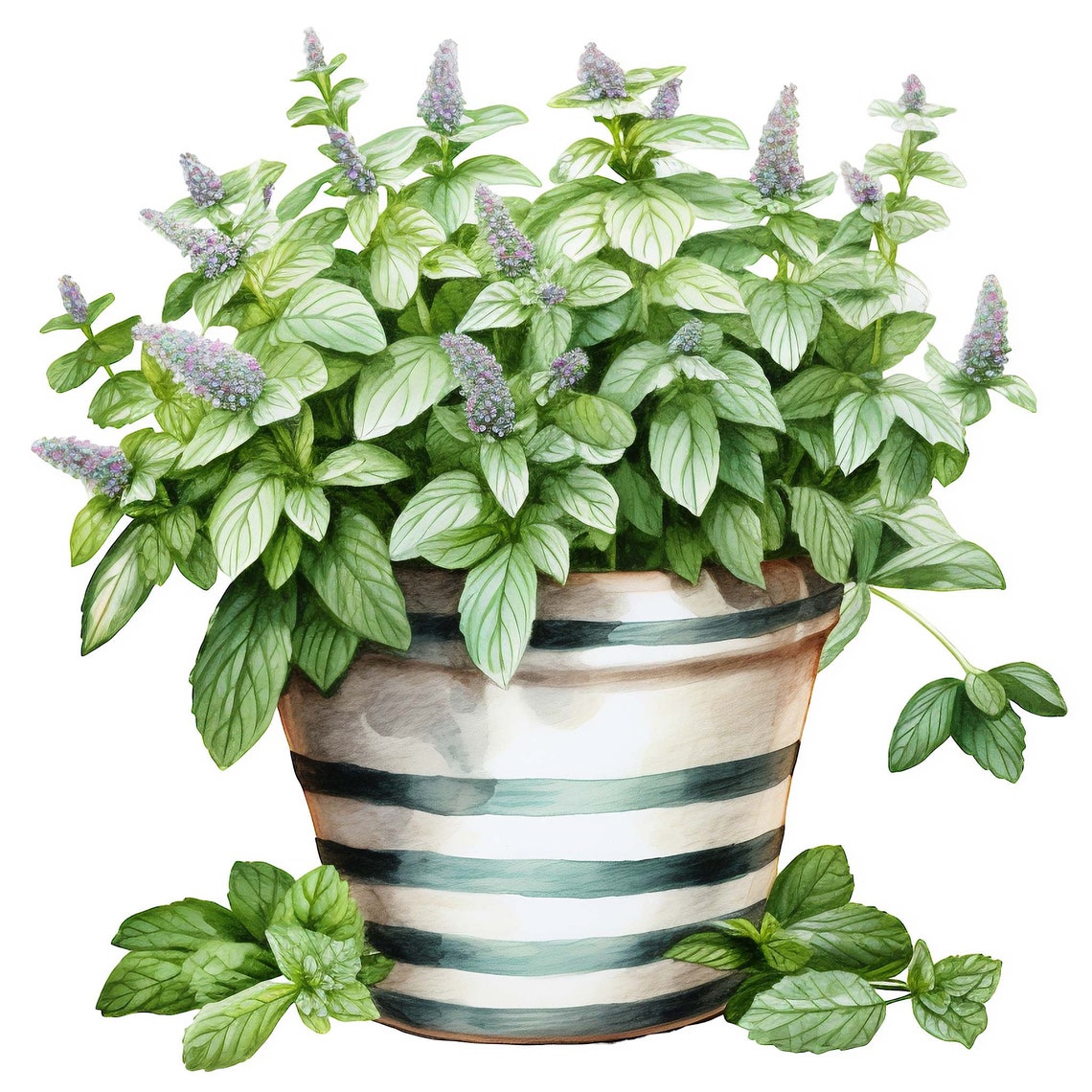 12 Potted Flowering Herbs Watercolor Clipart Botanical Graphics ...