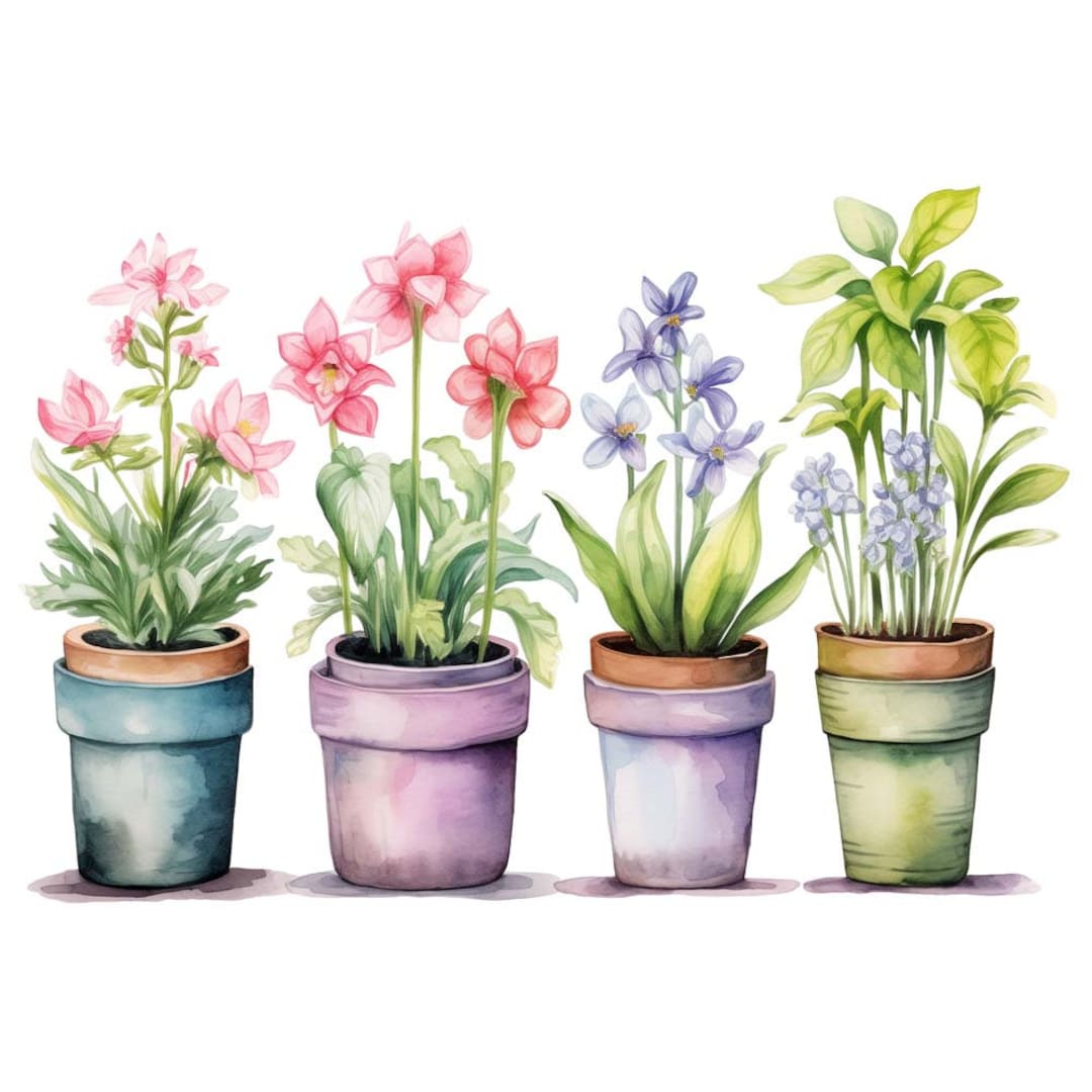 10 Garden Flower Pots Watercolor Clipart Graphics Bundle - Printable ...