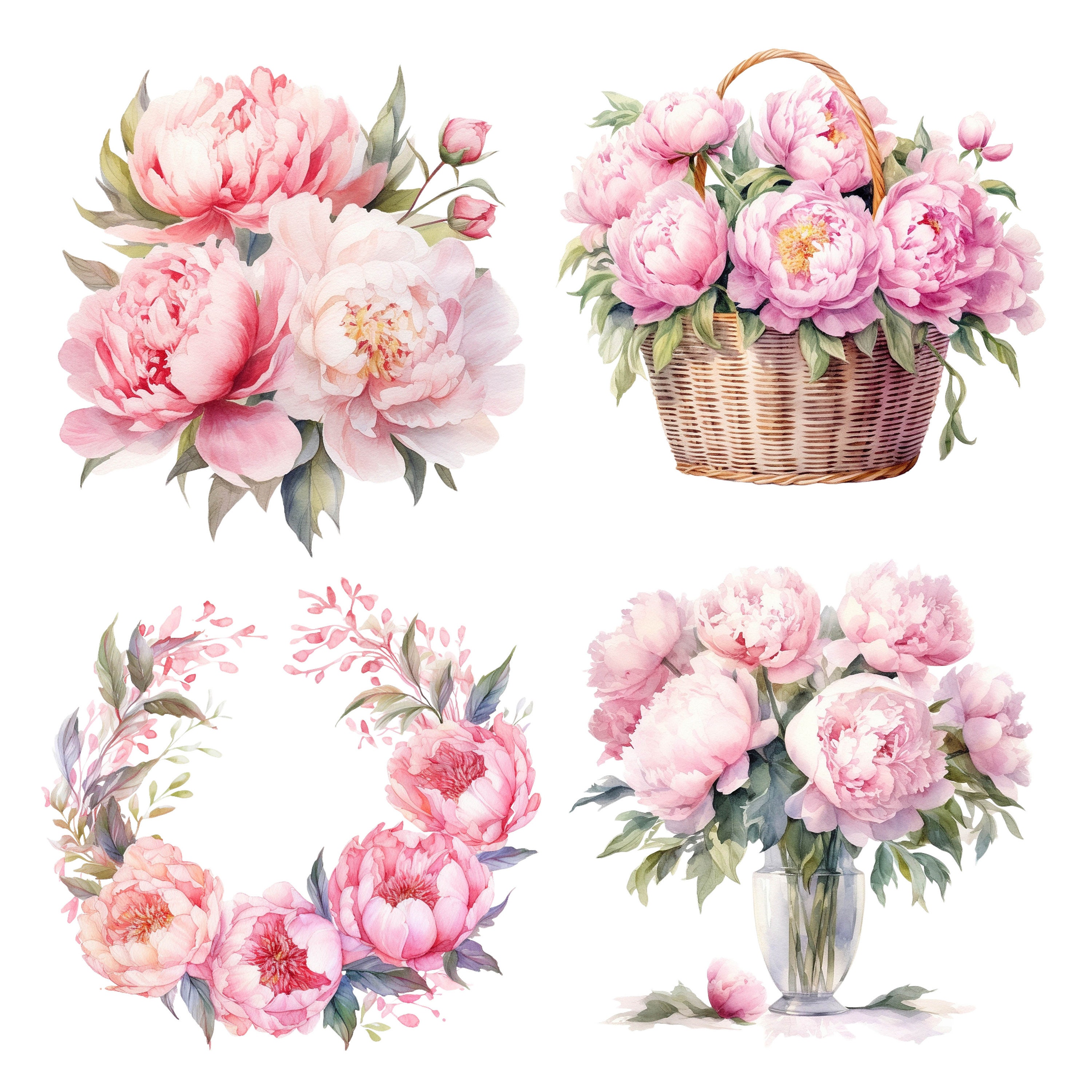14 Watercolor Pink Peonies Clipart Peony Graphics Digital - Etsy
