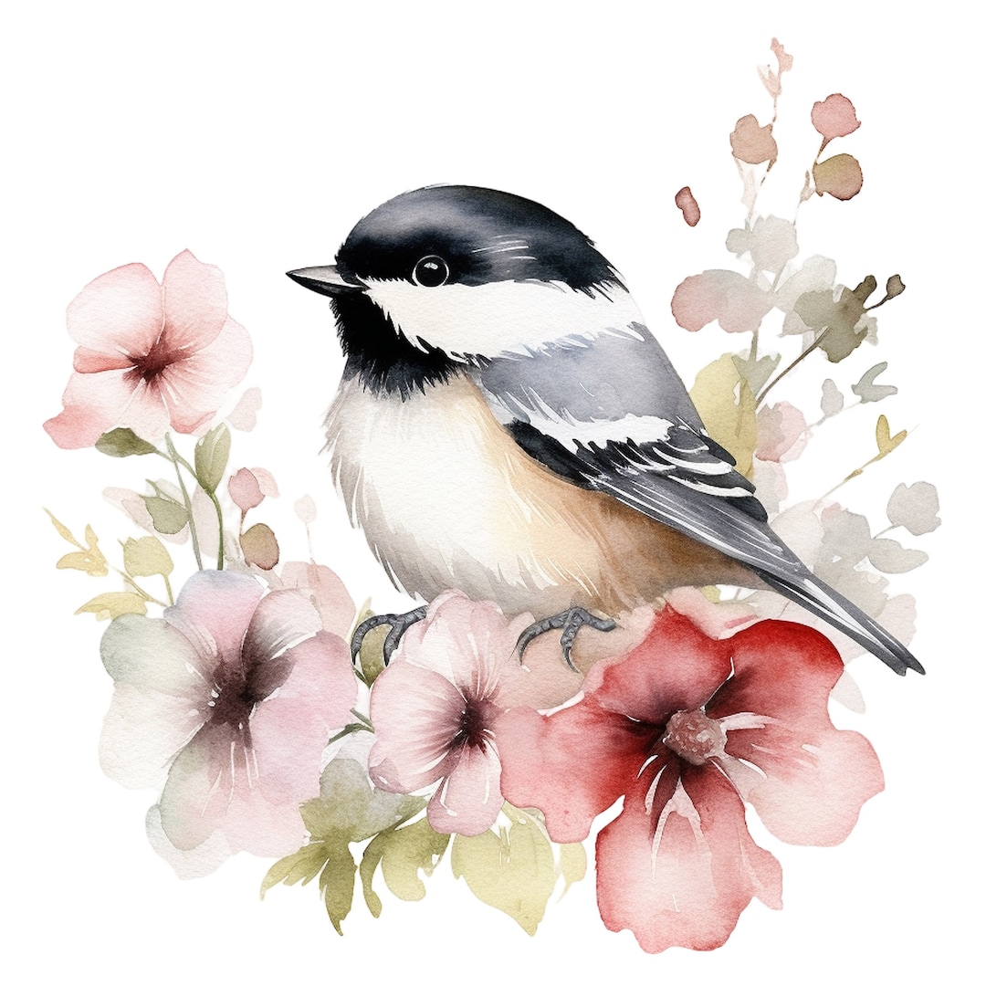 16 Cute Chickadee Bird Watercolor Clipart Graphics - Printable Clip Art PNG Files With ...