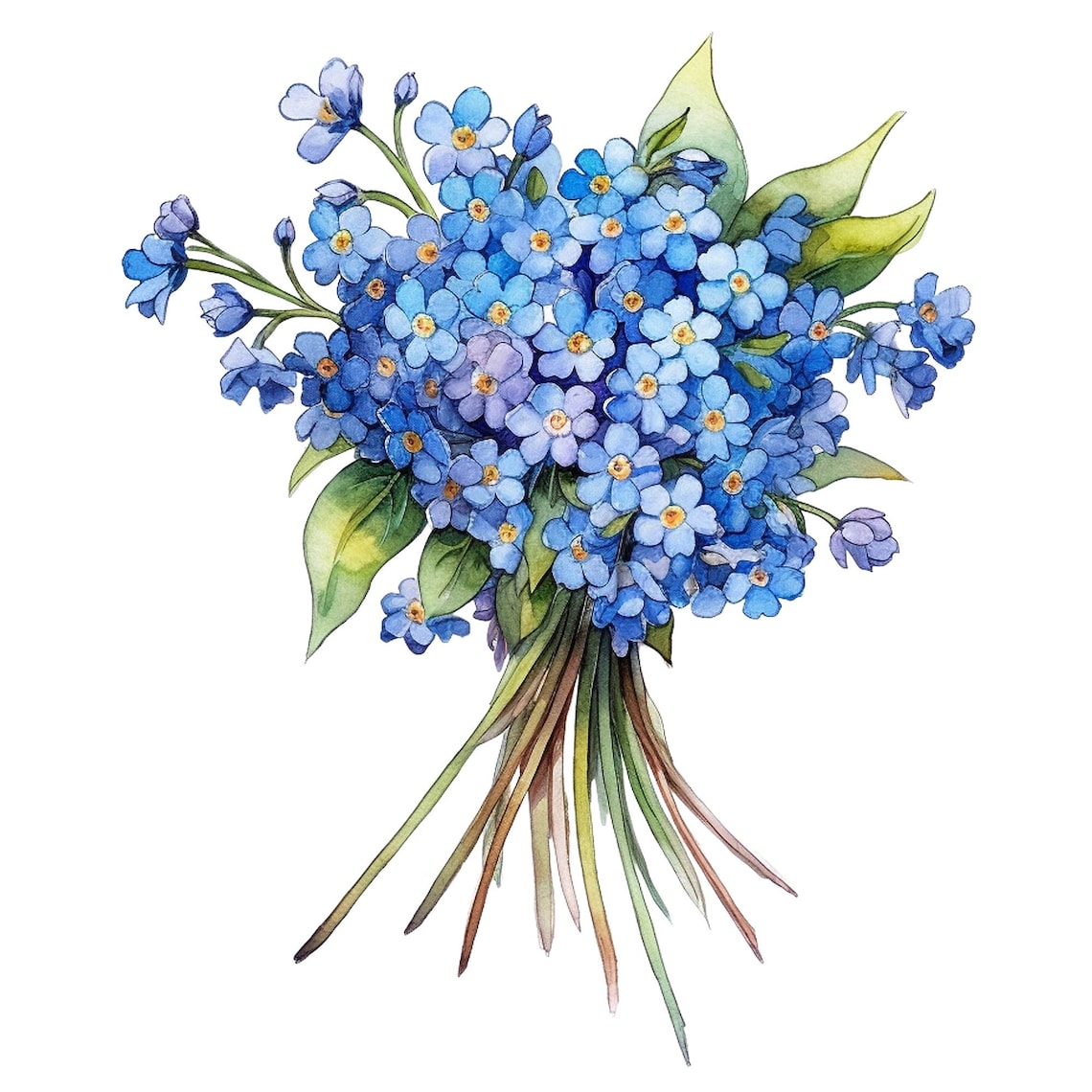 12 Forget Me Not Flowers Clipart Watercolor Graphics - Digital Download ...