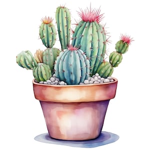 10 Watercolor Potted Cactus Clipart Graphics - Digital Download PNG ...