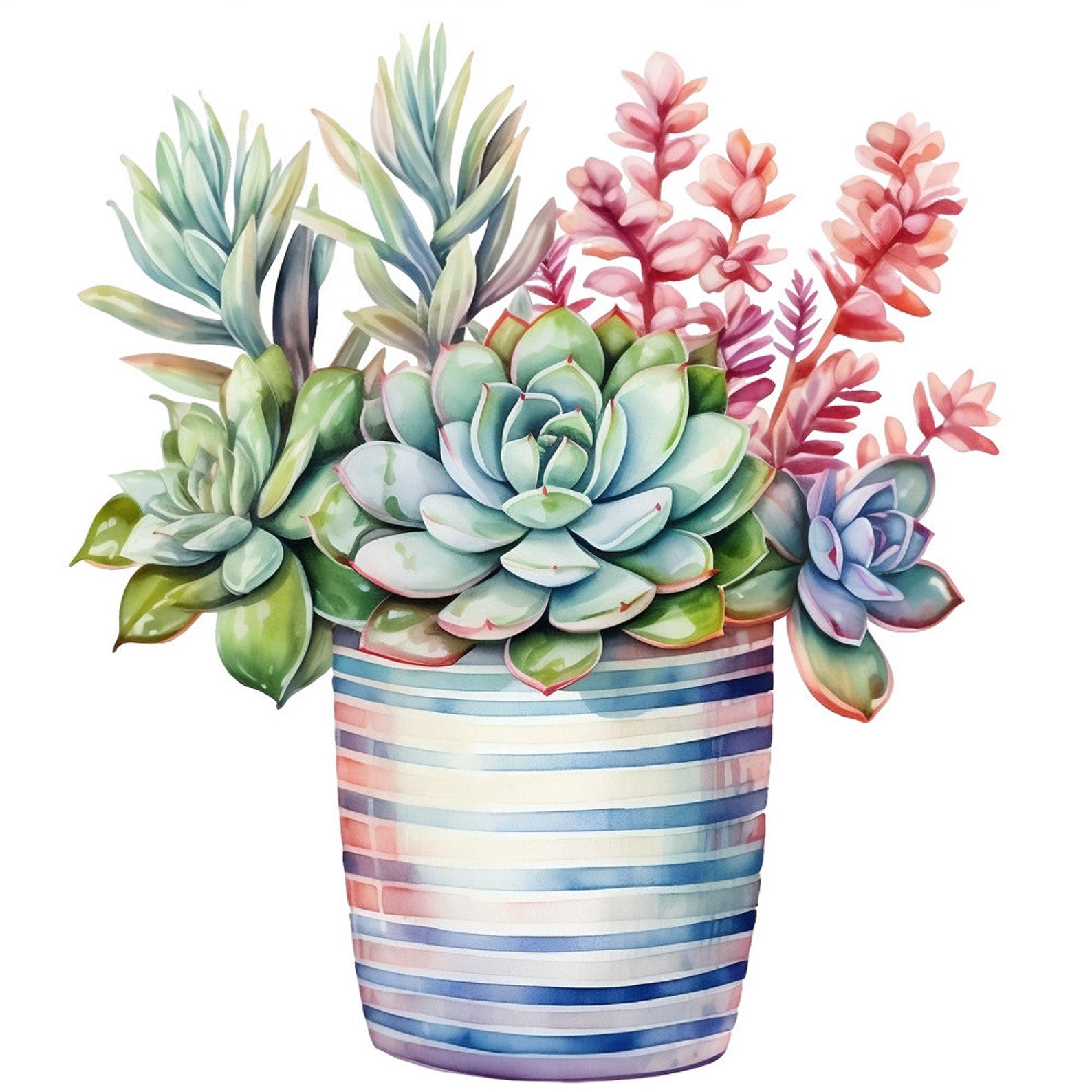 10 Cute Pastel Succulents Watercolor Clipart Graphics - Digital ...