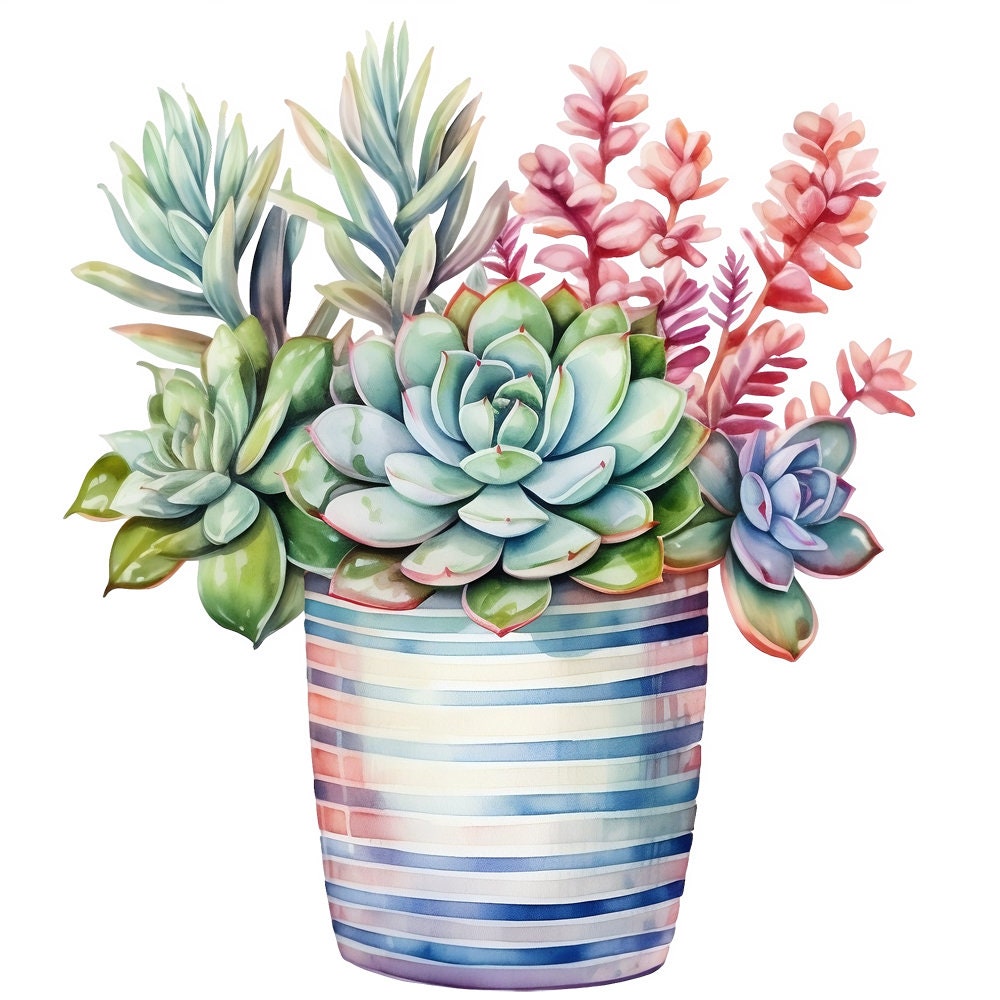 10 Cute Pastel Succulents Watercolor Clipart Graphics Digital Download ...