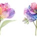 10 Watercolor Pastel Rainbow Flowers Clipart - Printable PNG Files ...