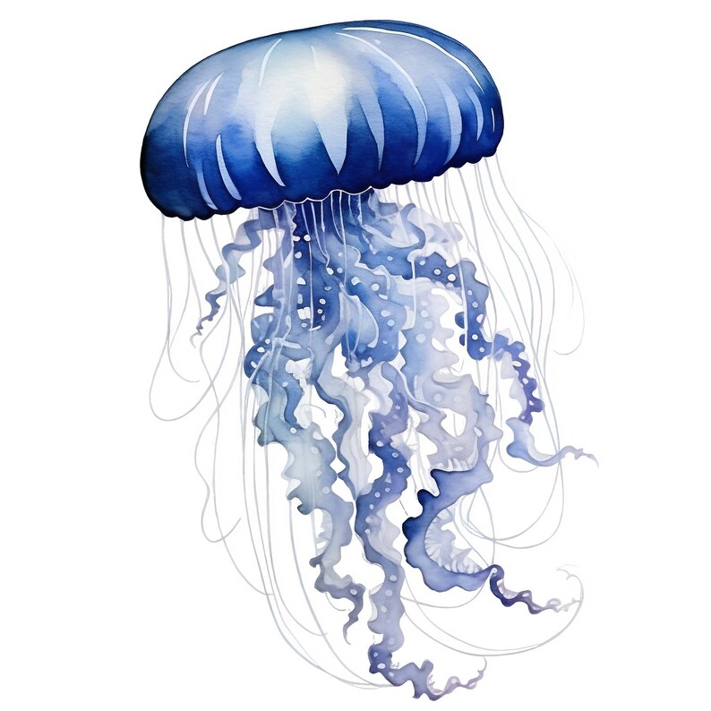 10 Indigo Blue Sea Creatures Watercolor Clipart Graphics Printable PNG ...