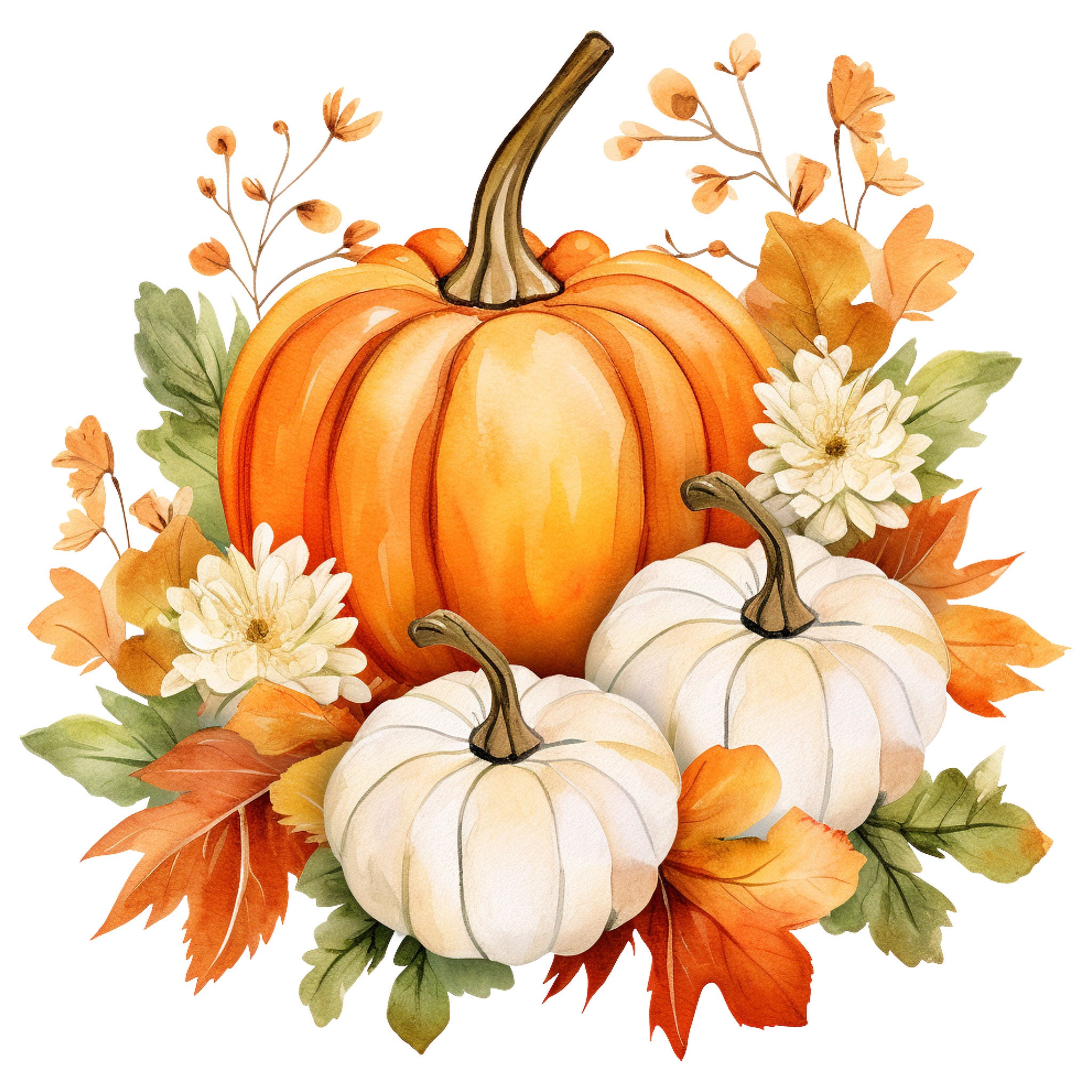 6 Pumpkins and Flowers Watercolor Clipart Graphics Digital Download PNG ...