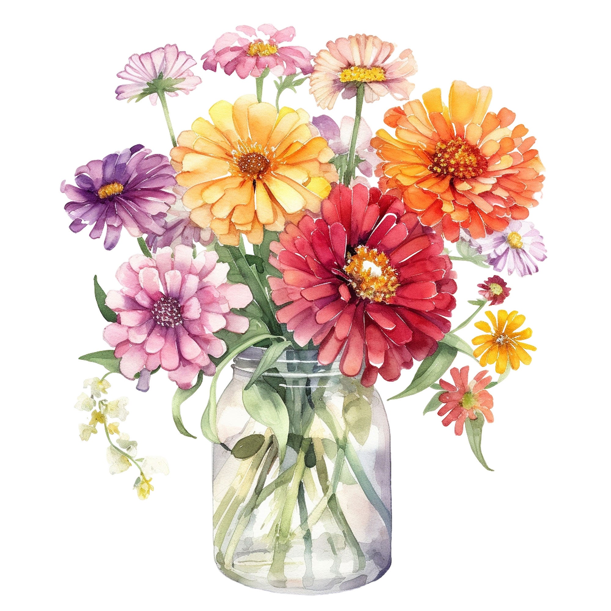 10 Watercolor Zinnias Floral Clipart Zinnia Flower Graphics - Etsy