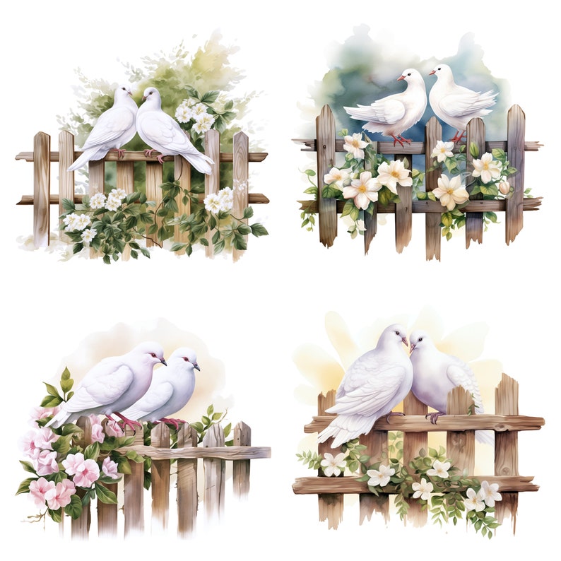 10 White Doves on a Rustic Fence Watercolor Clipart Graphics ...