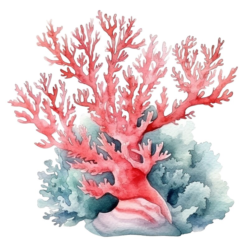 10 Watercolor Sea Coral Clipart Digital Download PNG Files - Etsy
