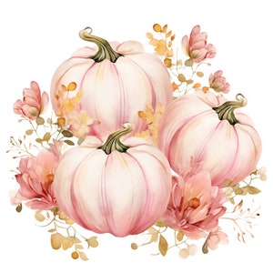 10 Pink and Gold Floral Pumpkins Watercolor Clipart Graphics ...