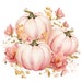 10 Pink and Gold Floral Pumpkins Watercolor Clipart Graphics ...