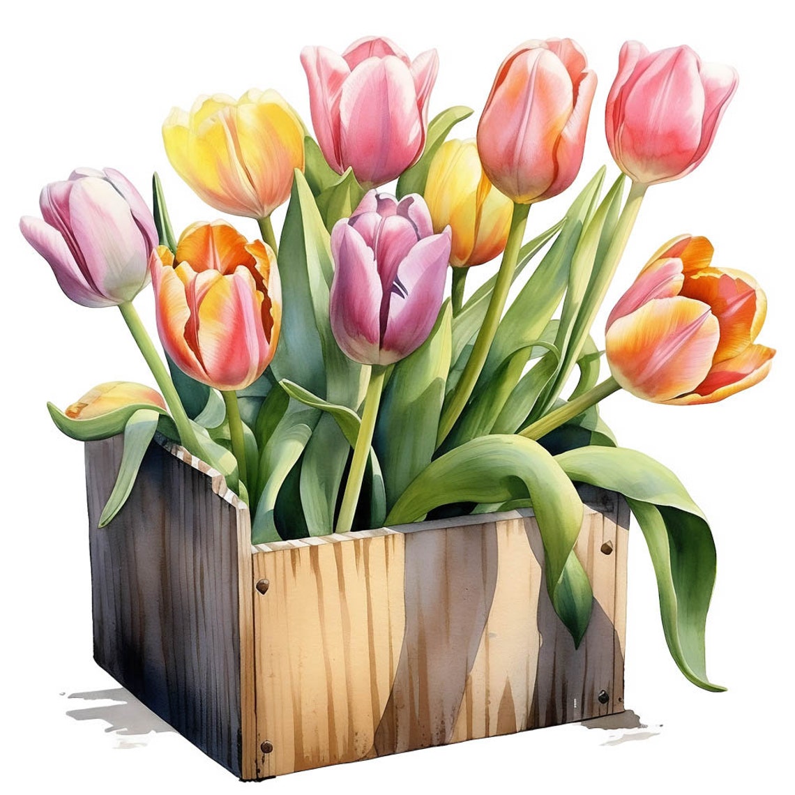 10 Watercolor Tulips Clipart Flower Graphics Digital Download PNG Files ...