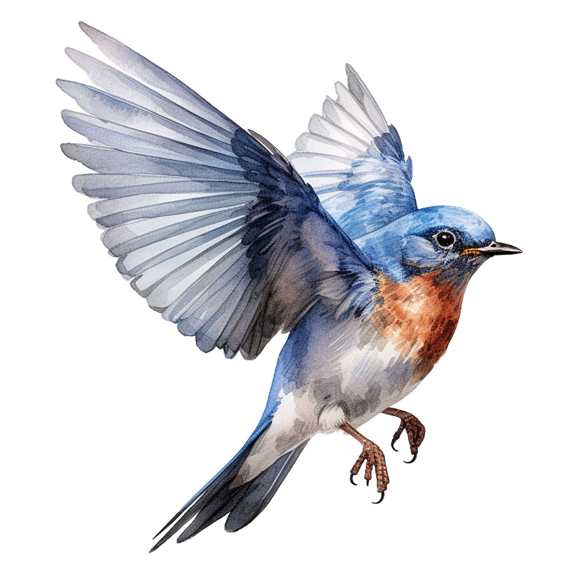 10 Watercolor Cute Bluebird Clipart Bird Graphics Digital - Etsy
