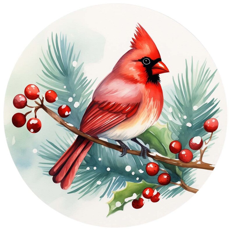 10 Watercolor Winter Red Cardinal Bird Circle Graphics - Etsy