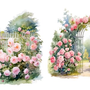 10 Watercolor English Rose Garden Clipart Graphics - Printable PNG ...