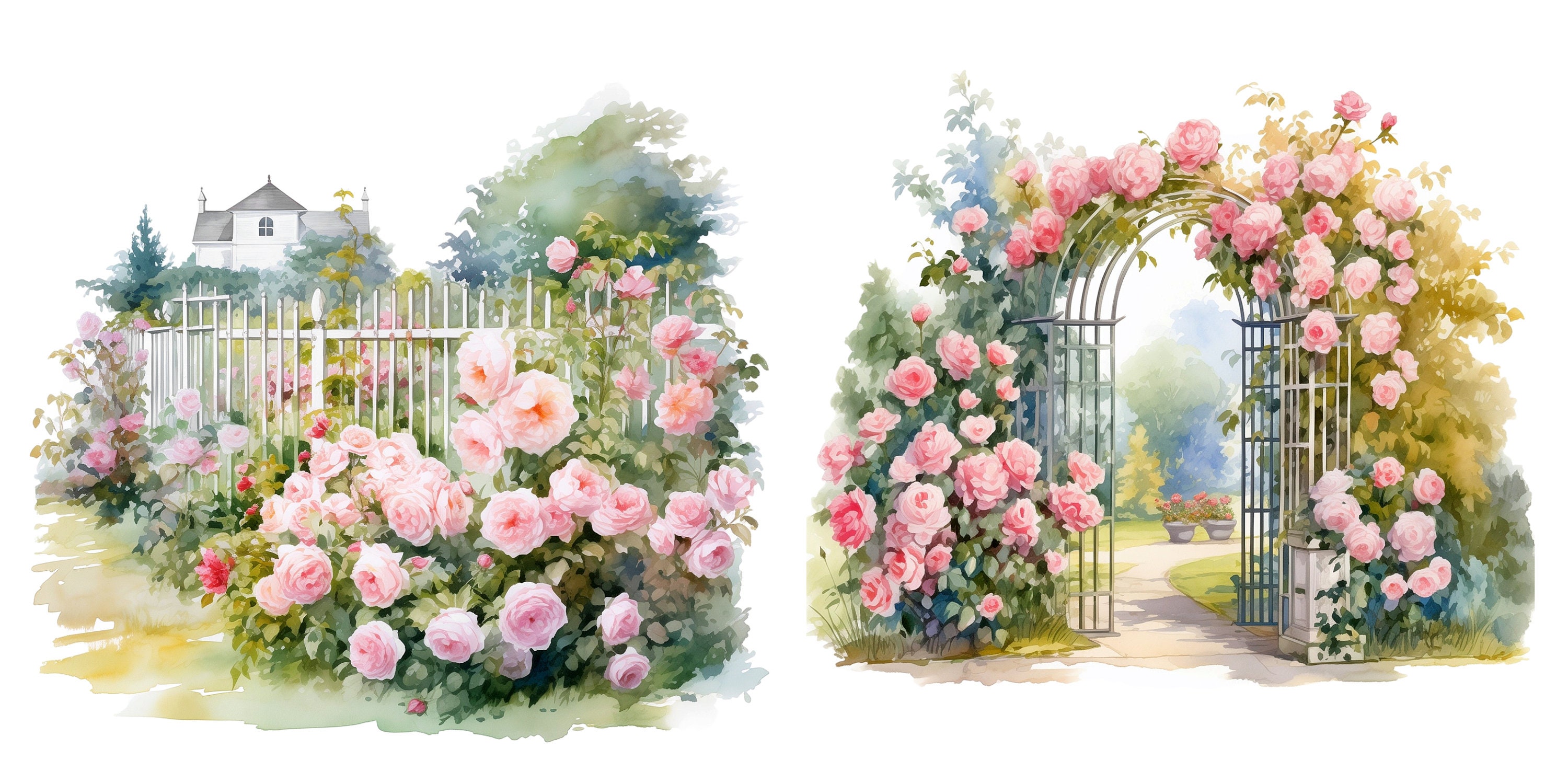 10 Watercolor English Rose Garden Clipart Graphics - Printable PNG ...