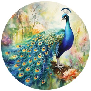 10 Watercolor Peacock Bird Circle Graphics - Printable PNG Files for ...