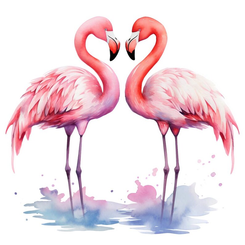 6 Watercolor Flamingos Clipart Bird Graphics - Digital Download PNG ...