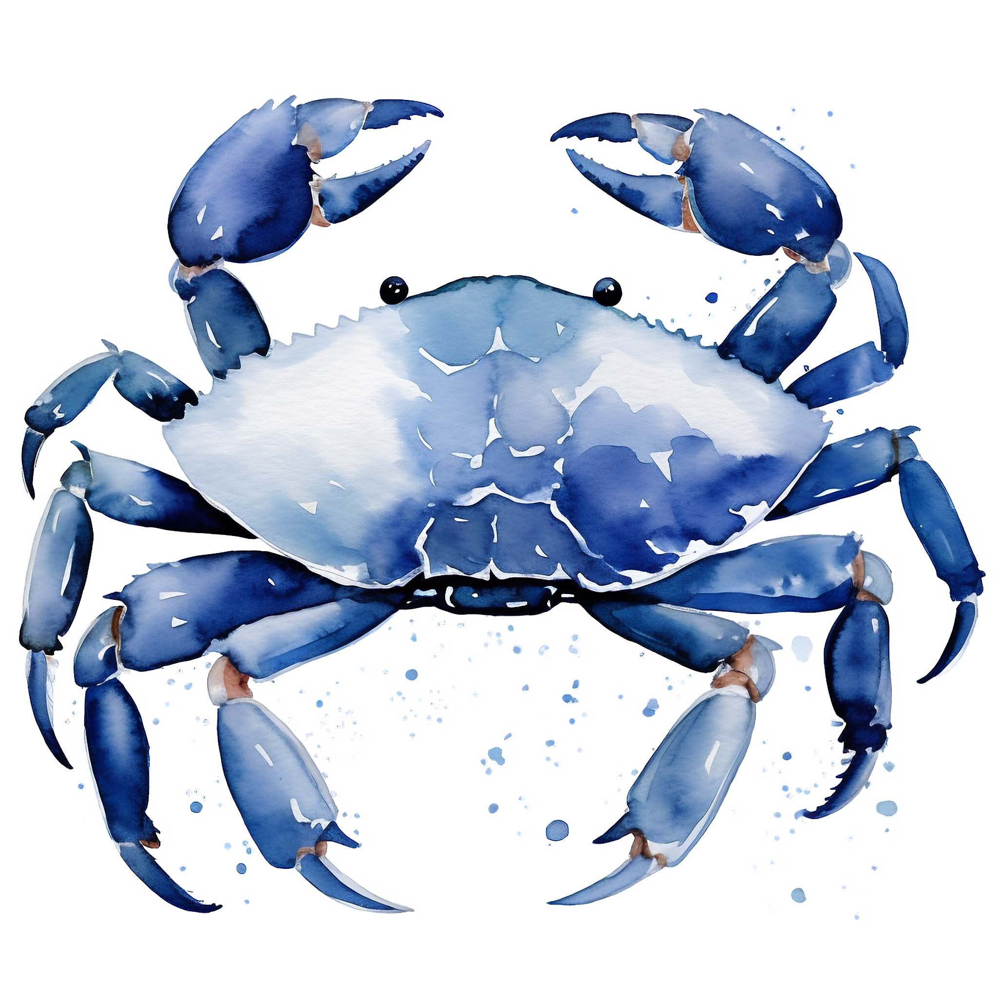 10 Indigo Blue Sea Creatures Watercolor Clipart Graphics Printable PNG ...