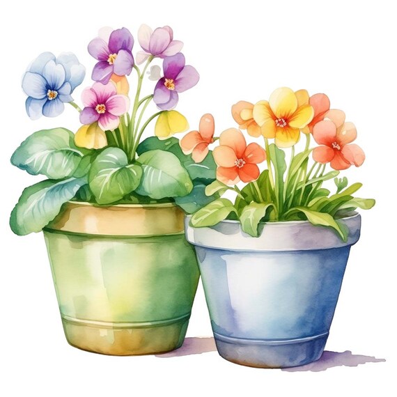 Pot Clip Art Flower Painting Watercolor Anthurium In Pot Clipart Fun