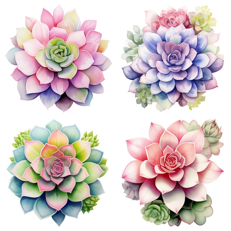 16 Watercolor Succulents Clipart Botanical Graphics - Digital Download ...