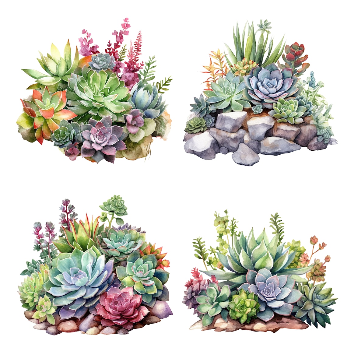 15 Watercolor Succulent Garden Clipart Botanical (Instant Download) - Etsy