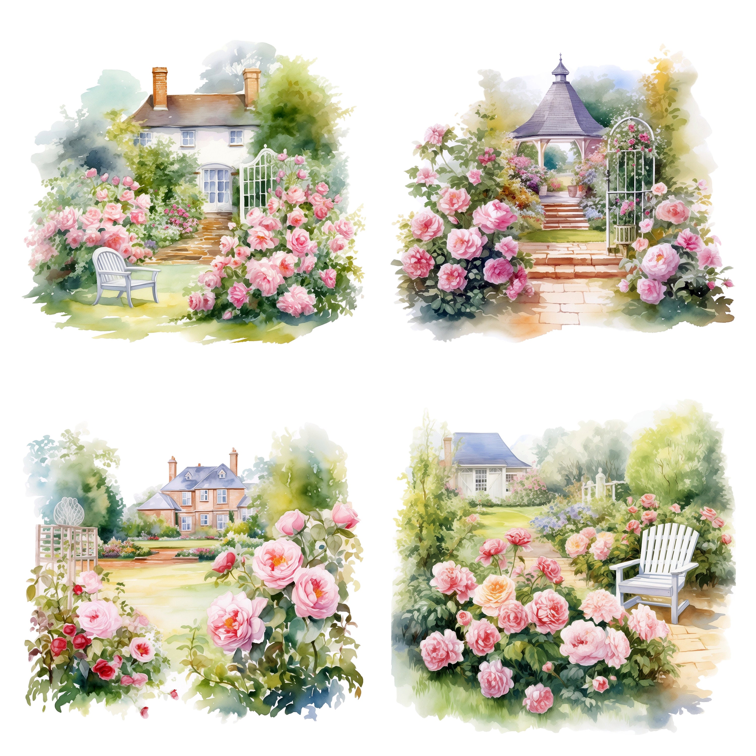 10 Watercolor English Rose Garden Clipart Graphics - Printable PNG ...