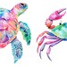 10 Watercolor Preppy Sea Creatures Clipart – Nautical PNG Graphics ...