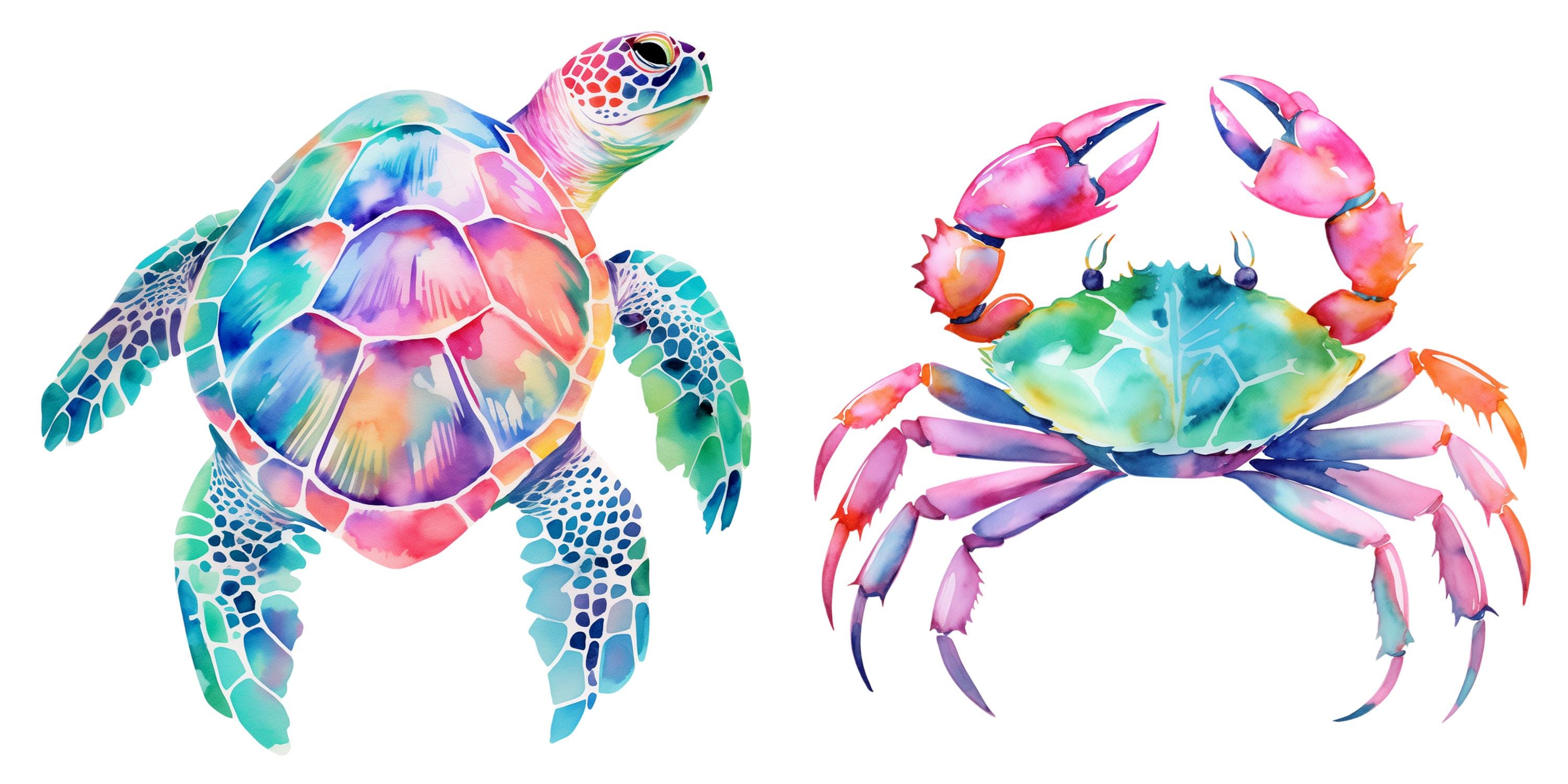 16 Watercolor Preppy Sea Creatures Clipart Graphics Printable PNG Files ...