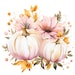10 Pink and Gold Floral Pumpkins Watercolor Clipart Graphics ...