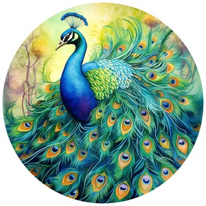 10 Watercolor Peacock Bird Circle Graphics - Printable PNG Files for ...