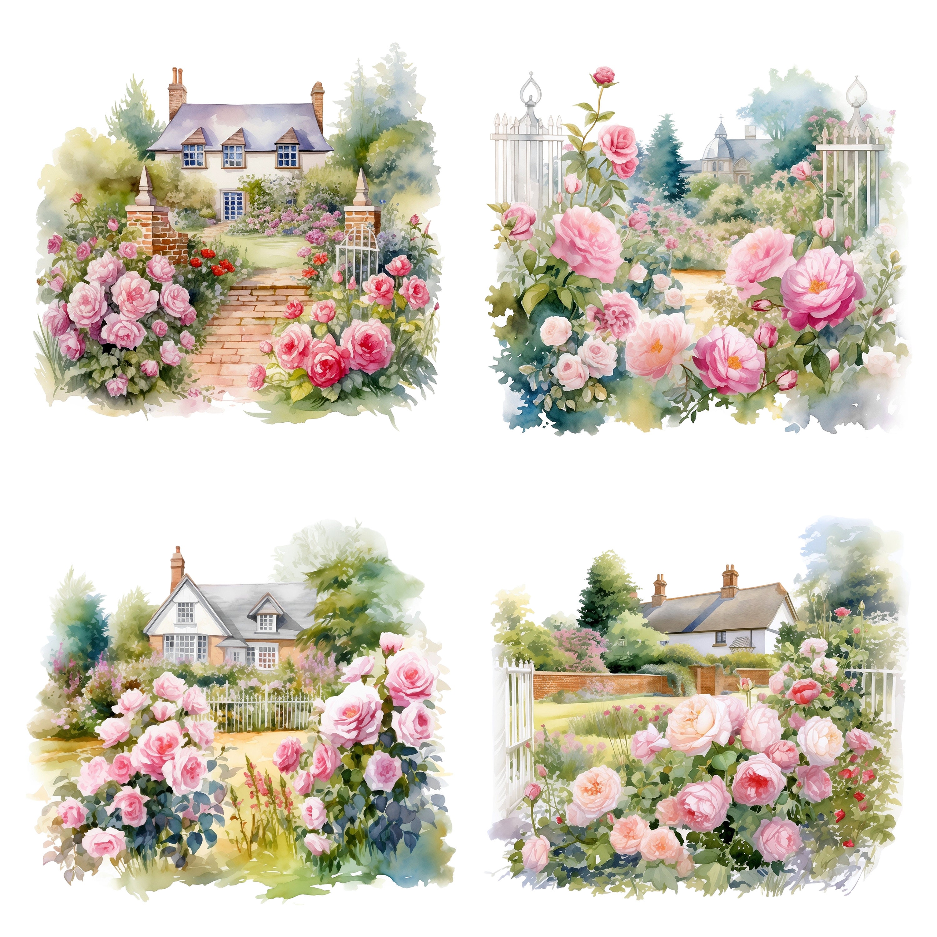 10 Watercolor English Rose Garden Clipart Graphics - Printable PNG ...