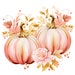 10 Pink and Gold Floral Pumpkins Watercolor Clipart Graphics ...